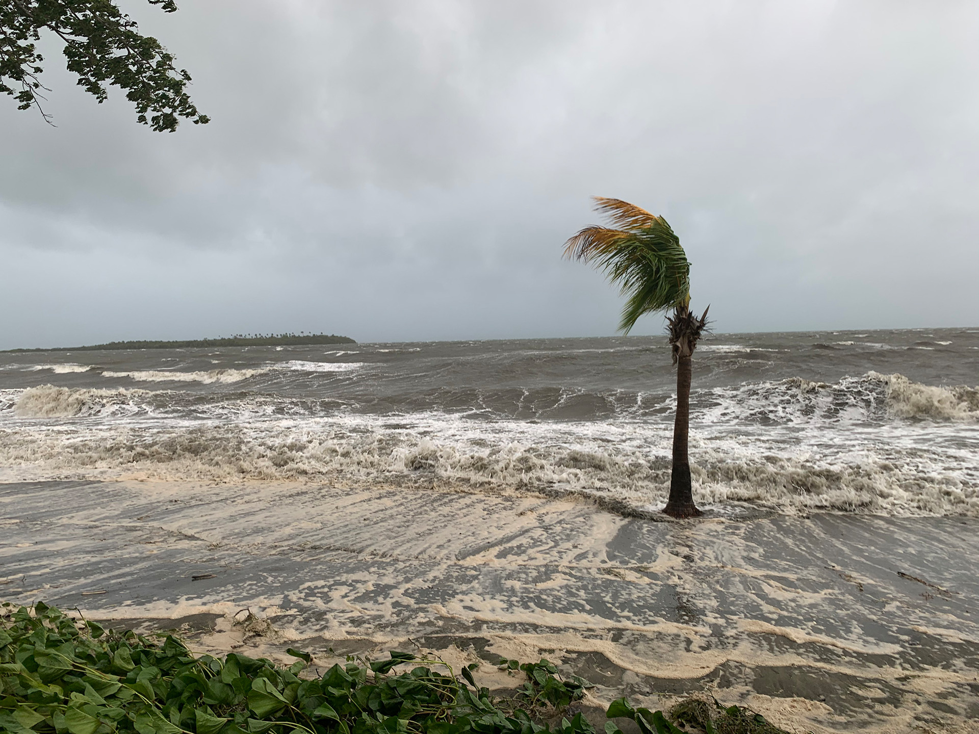 Fiji News, Articles, Stories & Trends for Today