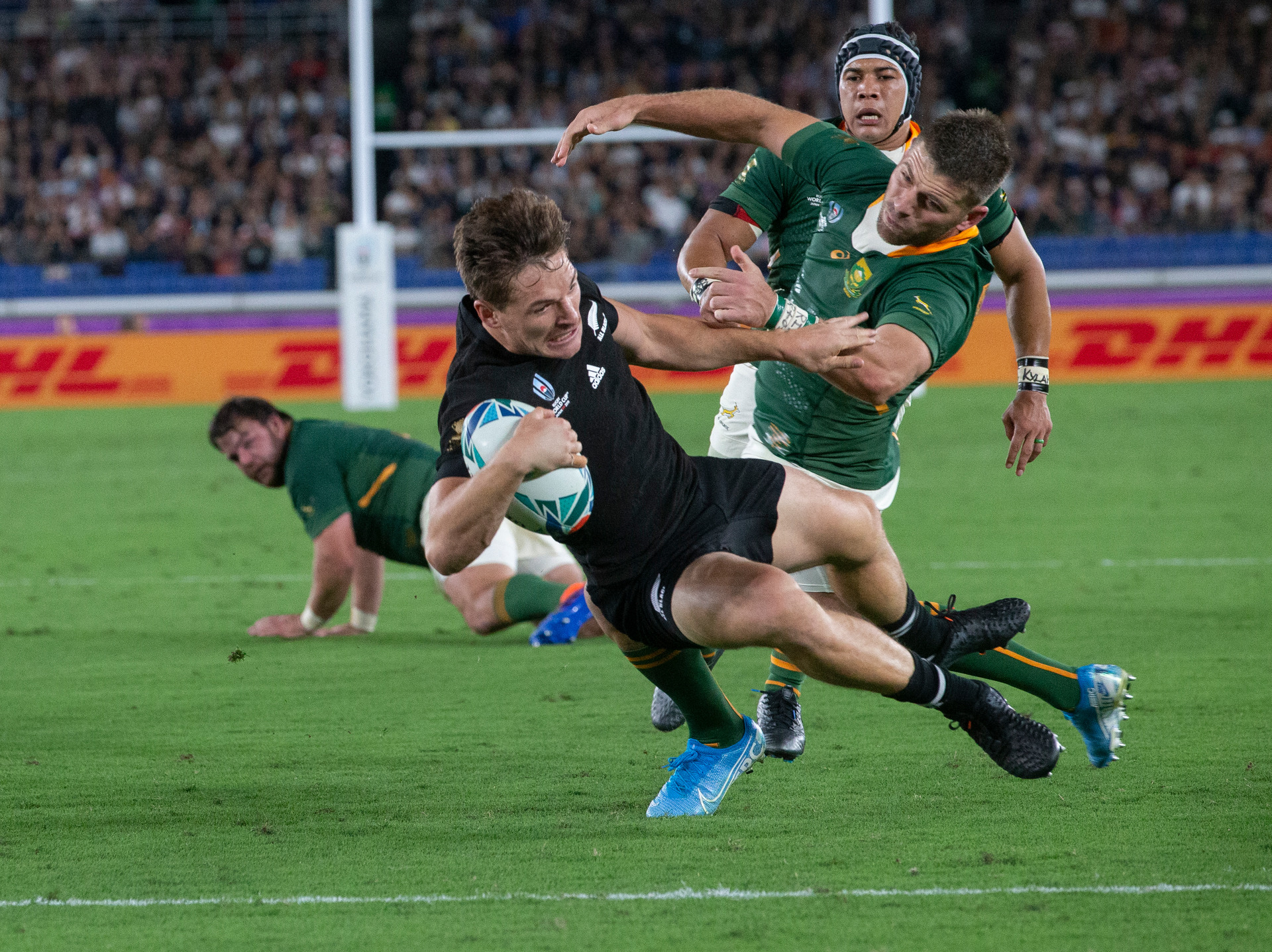 Springboks News, Articles, Stories & Trends for Today