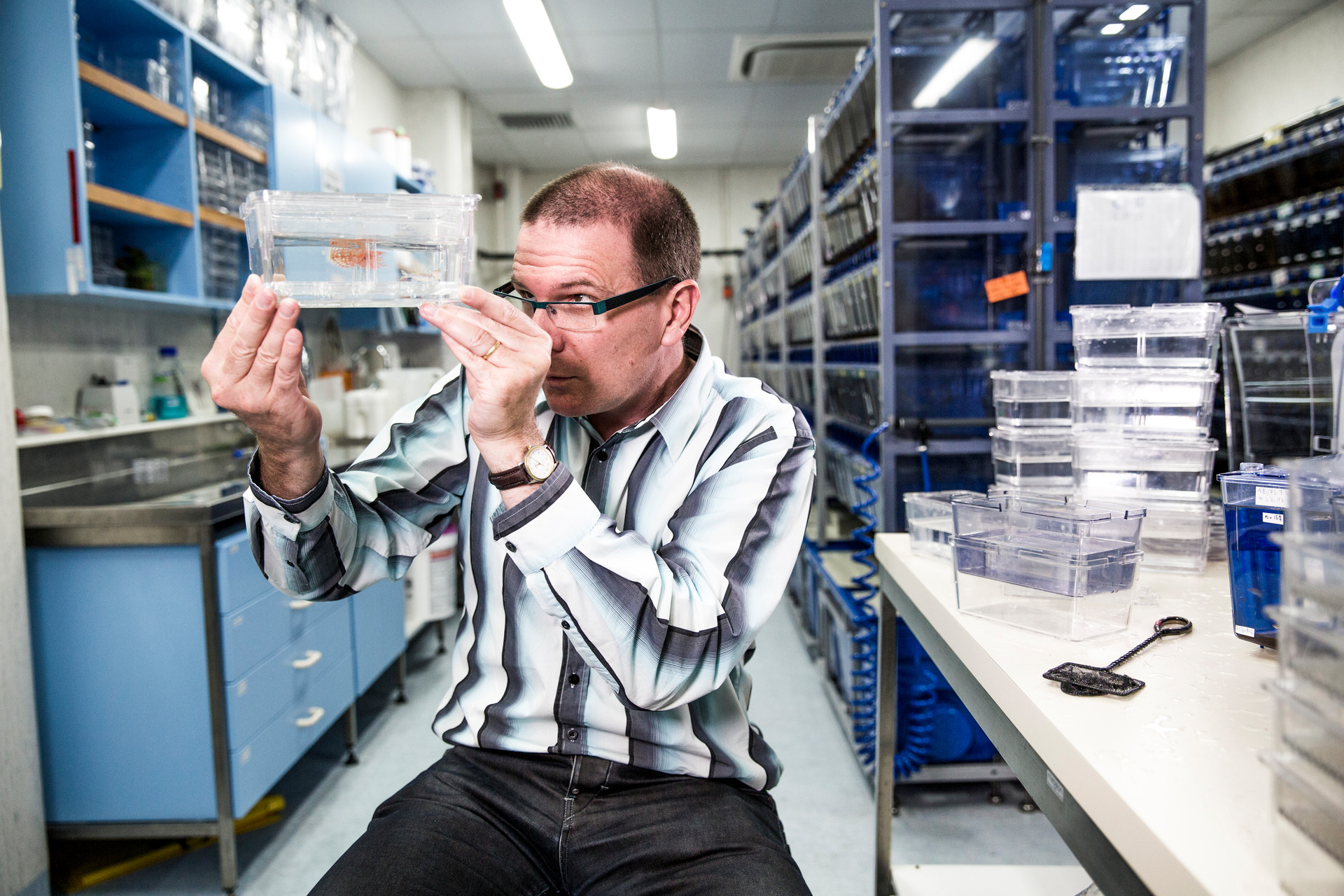 Breakthrough reveals NZ siblings' one-in-billion condition