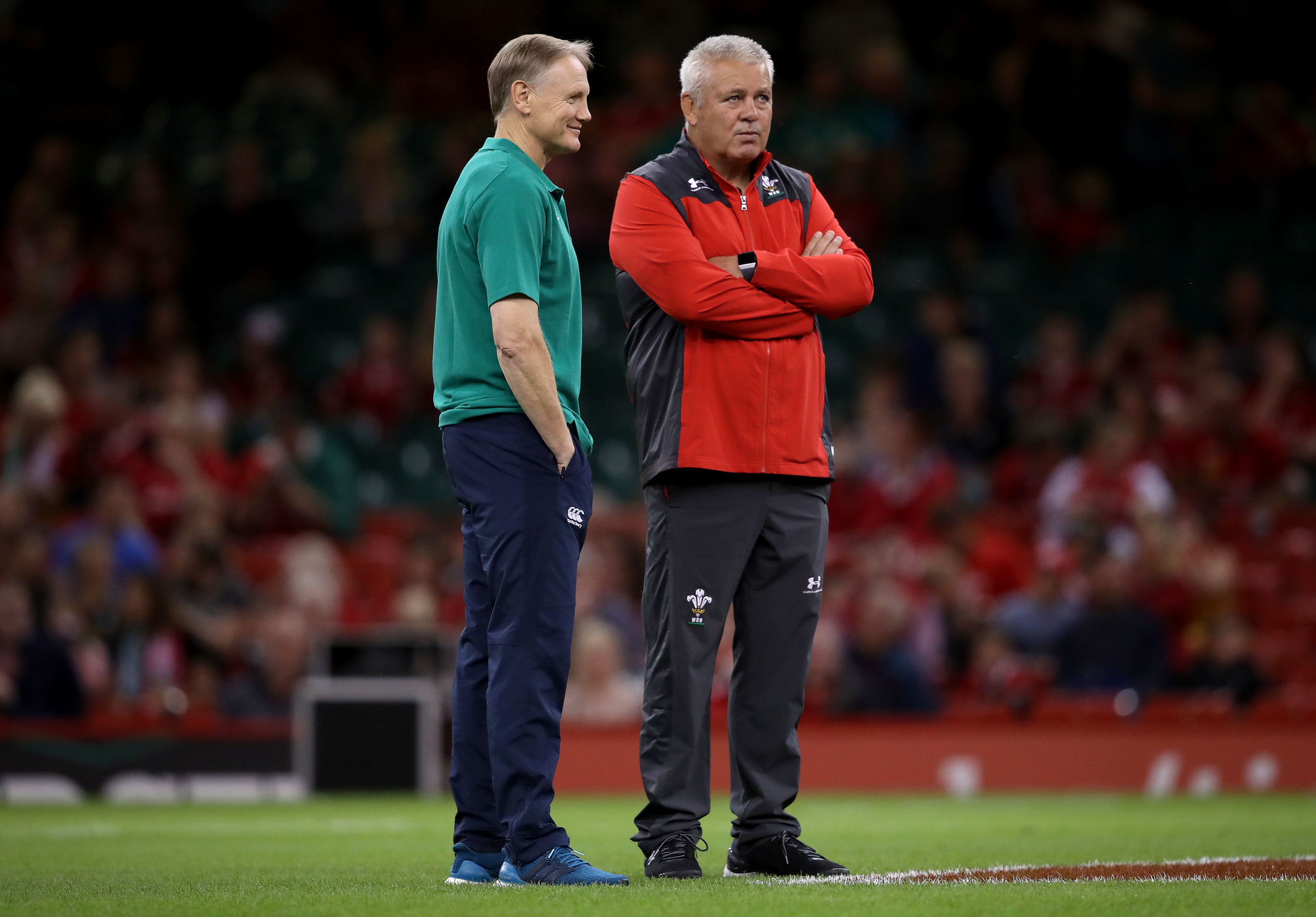 Springboks News, Articles, Stories & Trends for Today