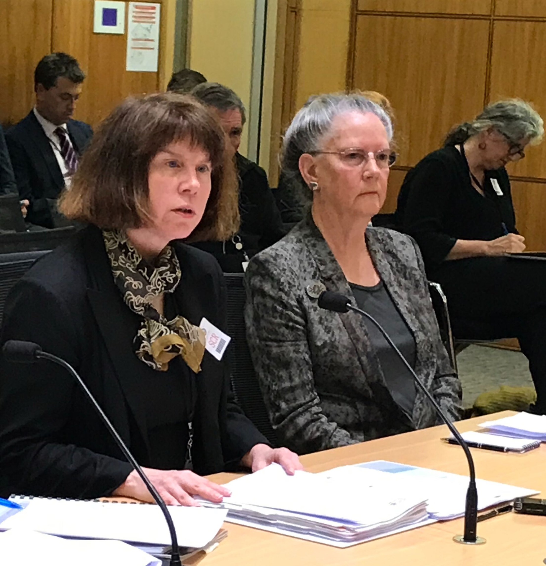 New Zealand Politics News, Articles, Stories & Trends for Today