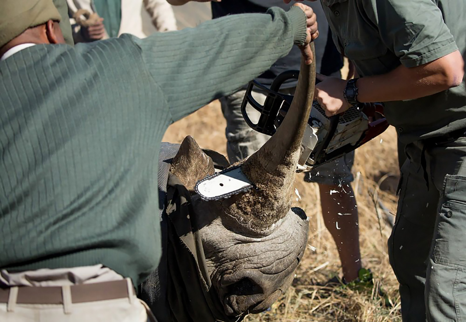 NZ drone firm assists South African fight against rhino poachers