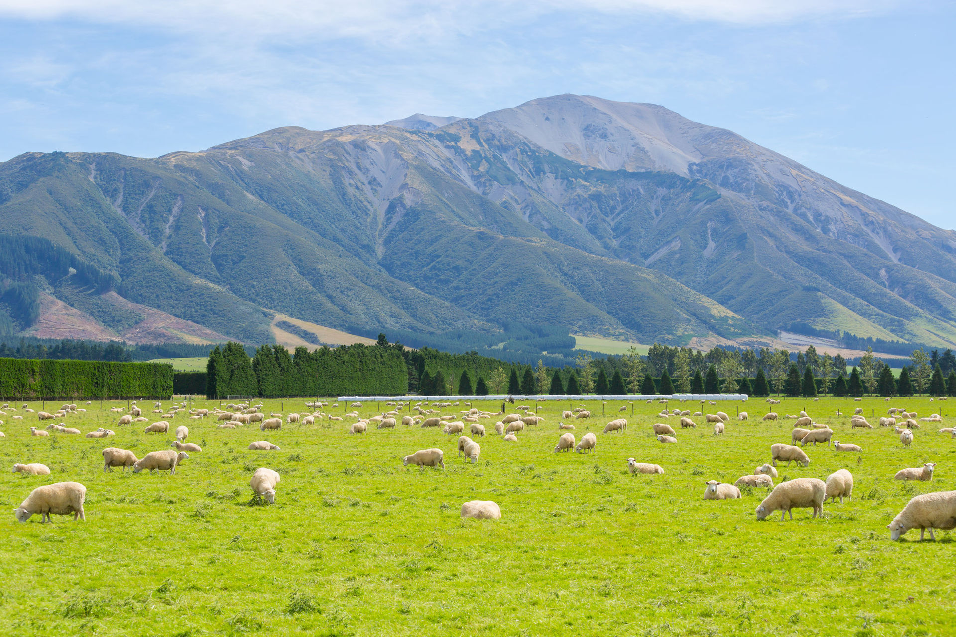new-zealand-herald-business-on-flipboard-by-the-new-zealand-herald