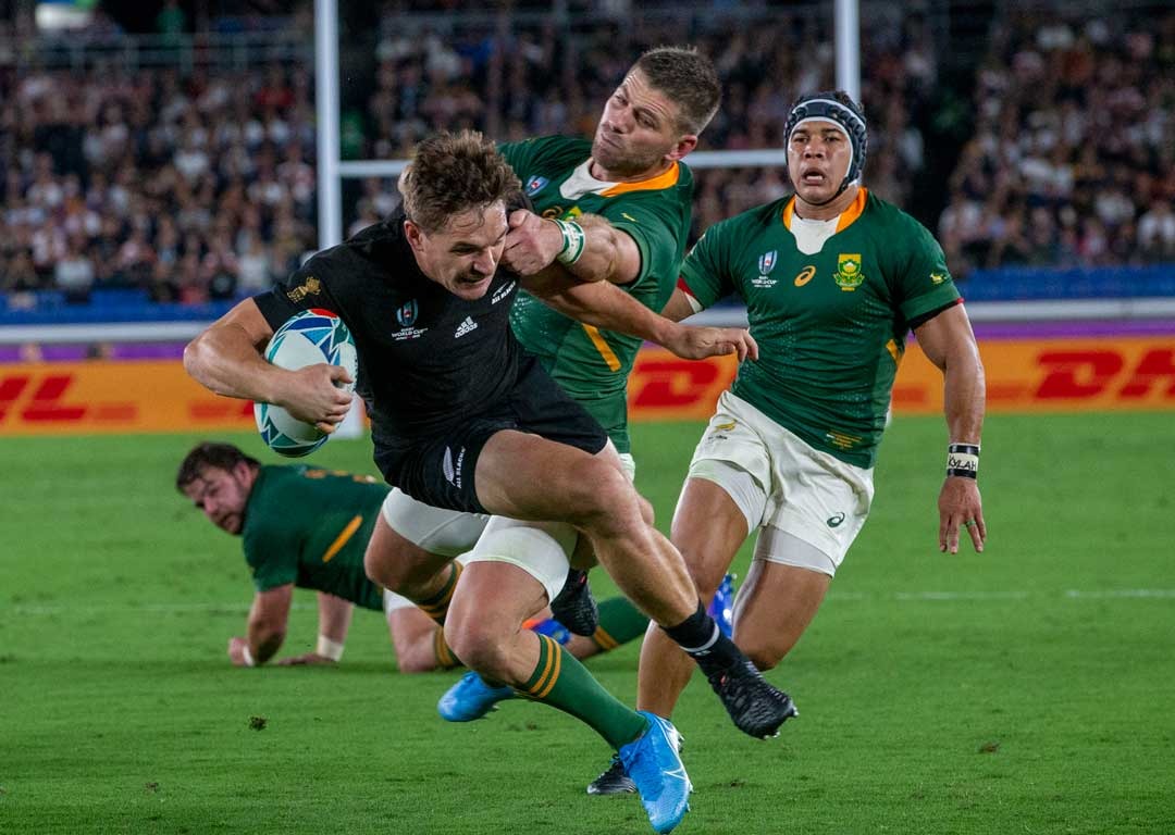 Springboks News, Articles, Stories & Trends for Today
