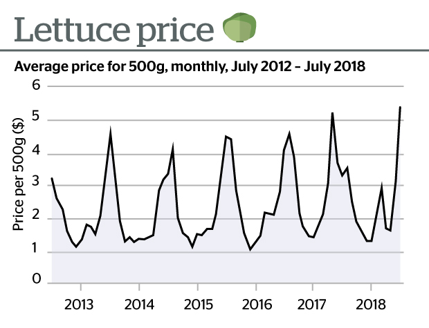 Lettuce rockets as veggie prices surge