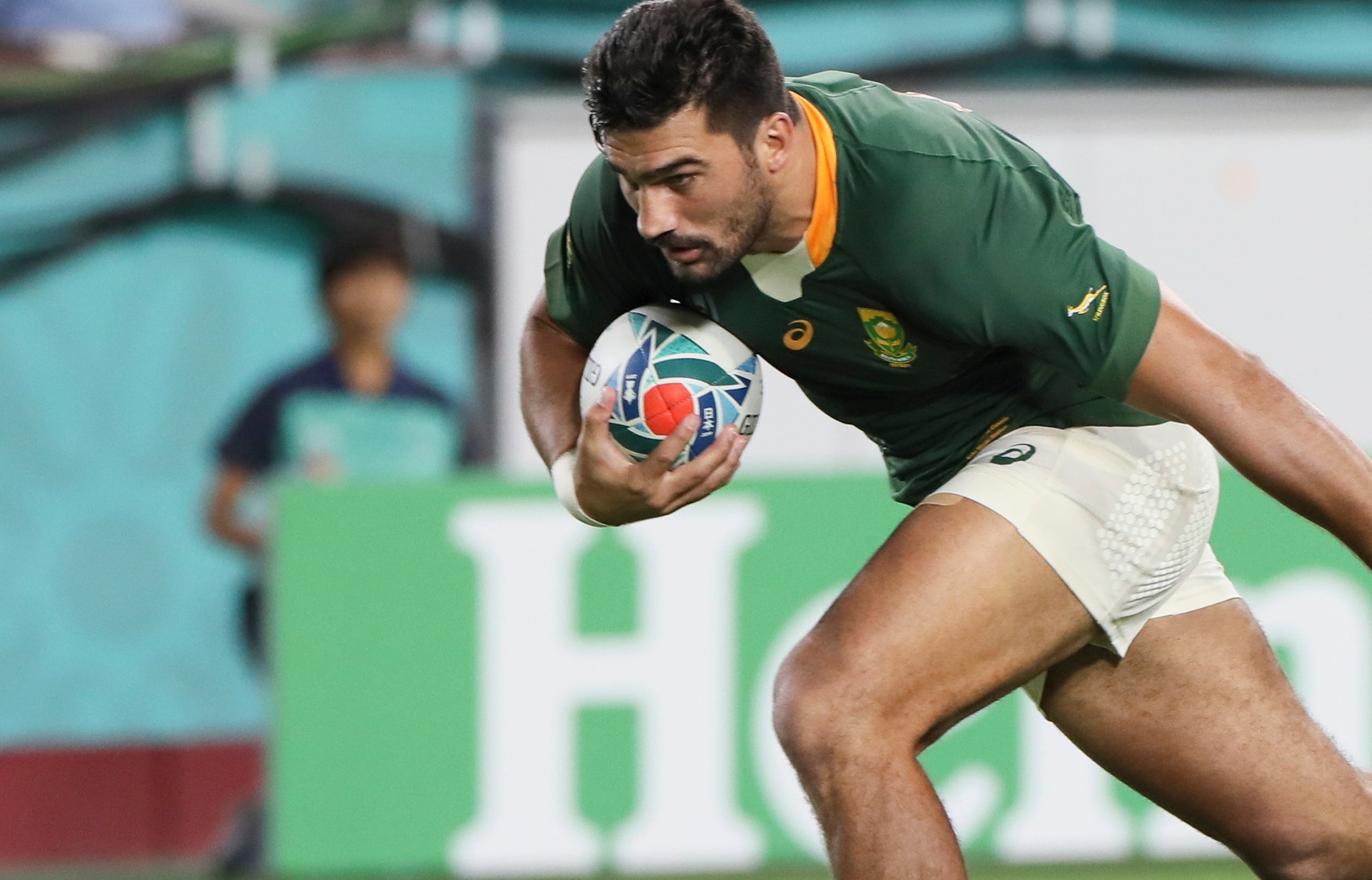 Springboks News, Articles, Stories & Trends for Today