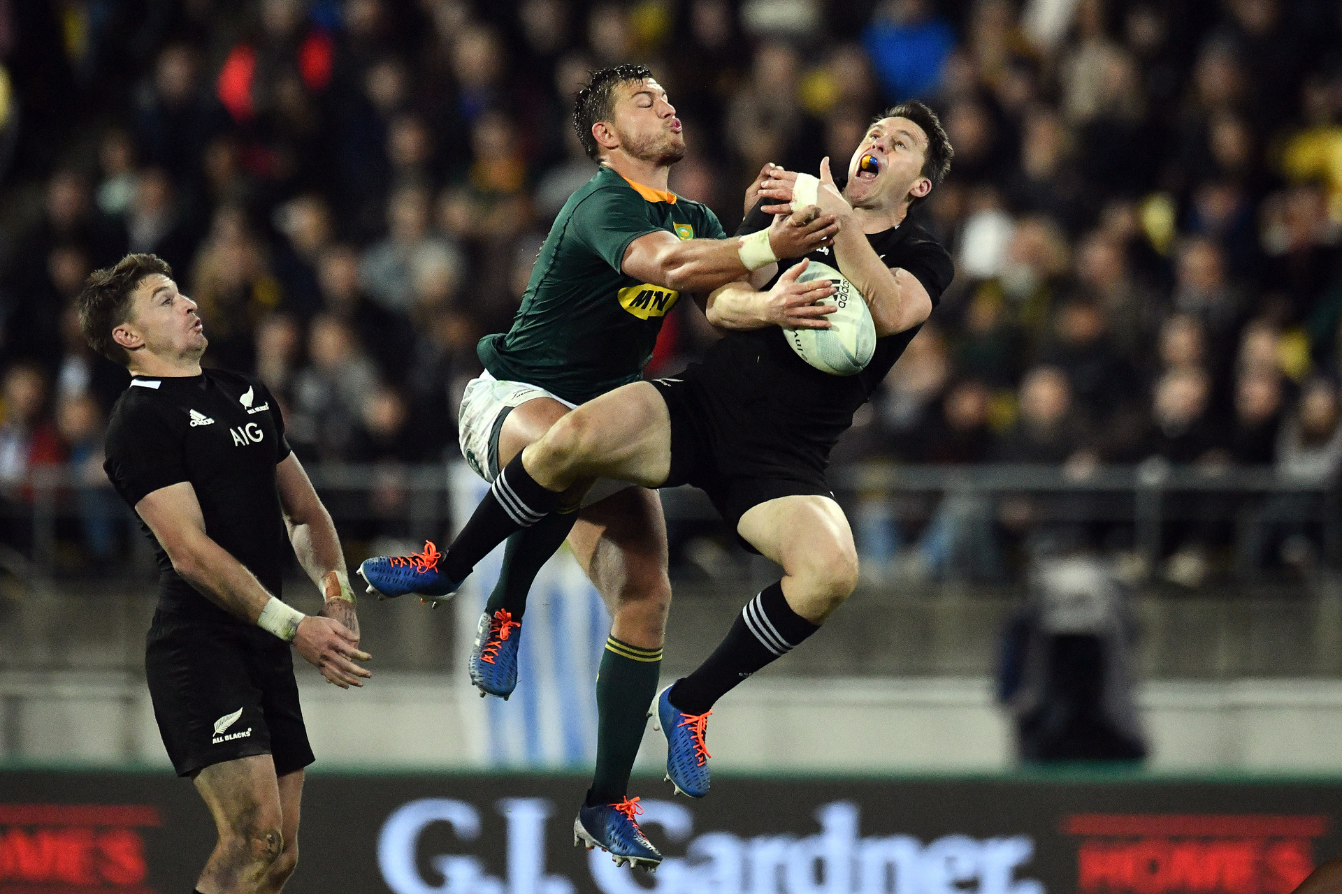 Springboks News, Articles, Stories & Trends for Today